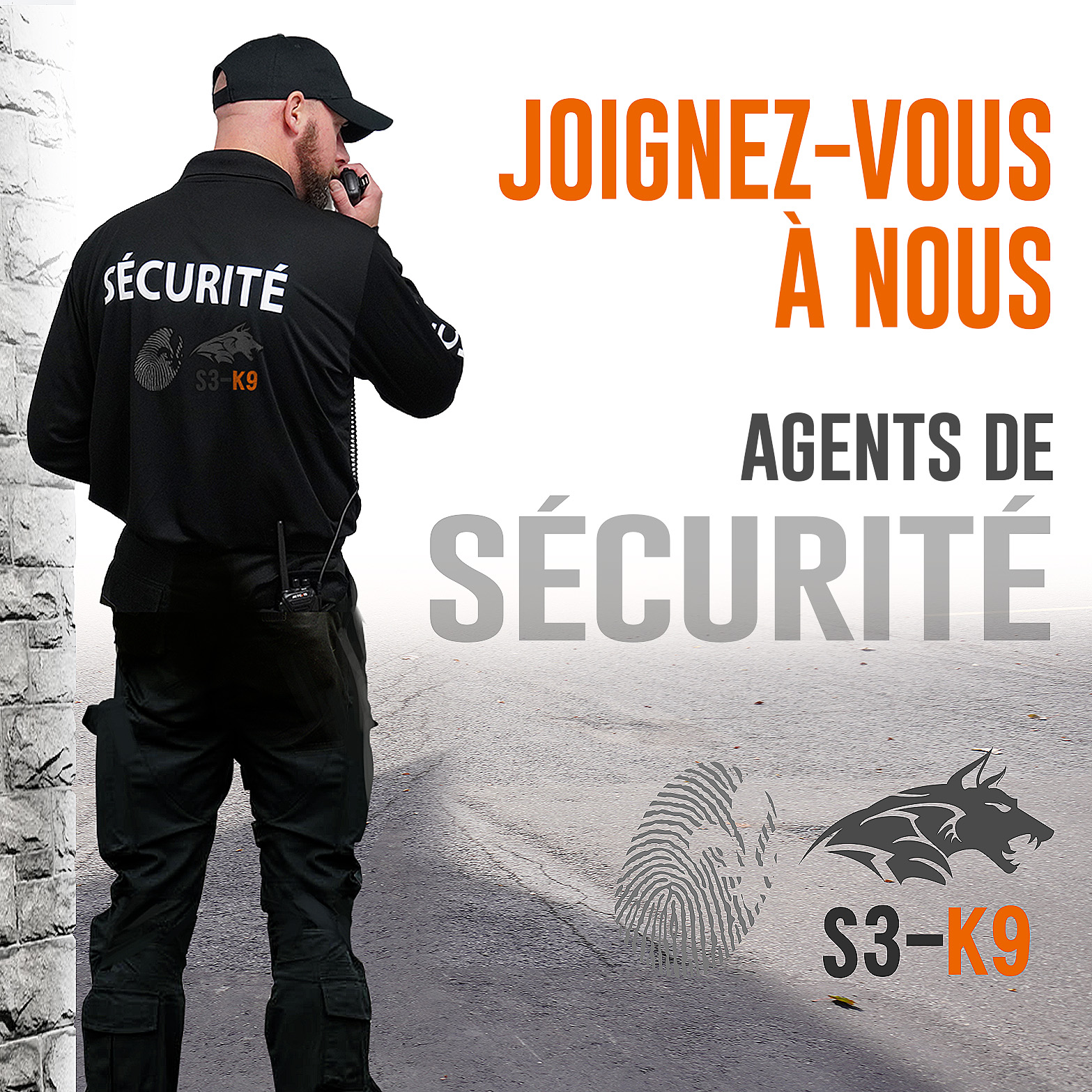 Services Patrouille de Sécurité – S3K9
